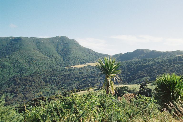 Photo Gallery – Hinewai Reserve
